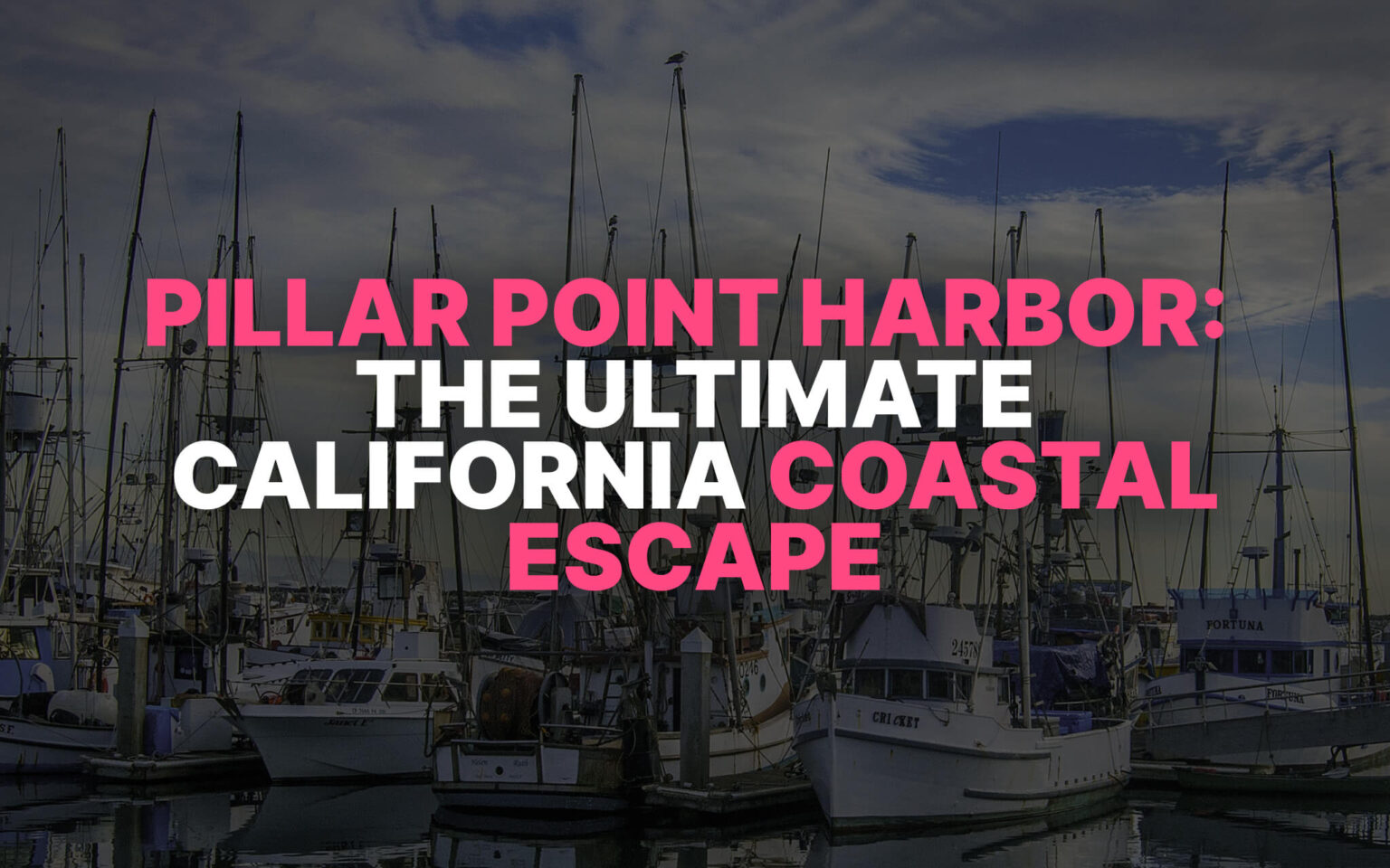 #️⃣ Pillar Point Harbor: The Ultimate California Coastal Escape ...
